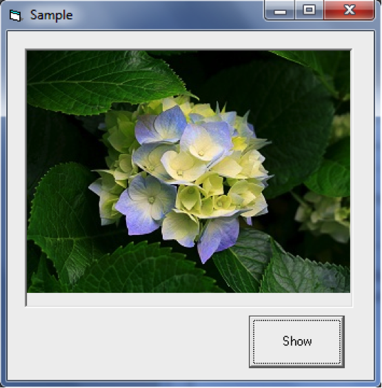 Working with Graphics in Visual Basic 6 | Go4Expert